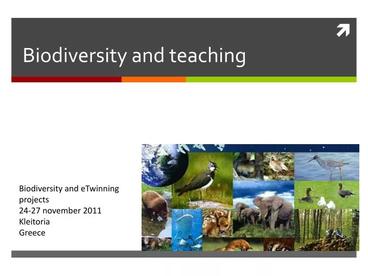 PPT - Biodiversity and teaching PowerPoint Presentation, free download ...