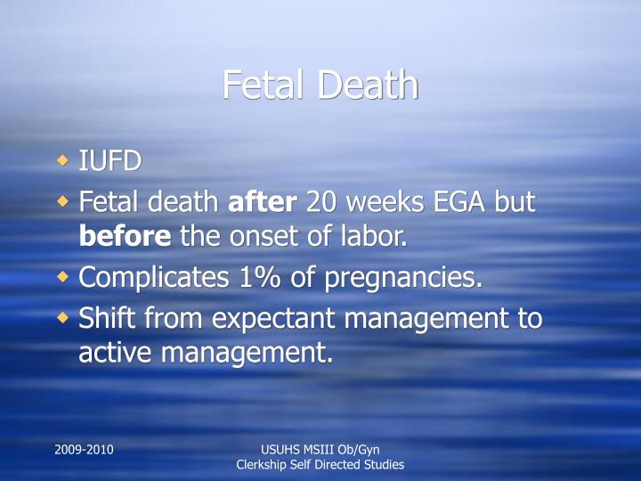 PPT - Fetal Death Ch 13 PowerPoint Presentation - ID:5180909