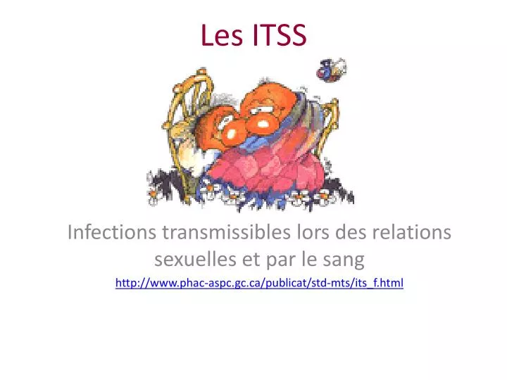 PPT - Les ITSS PowerPoint Presentation, free download - ID:5181574