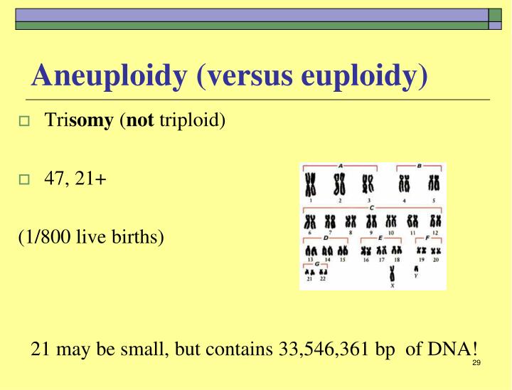 PPT - Chromosome Theory of Inheritance PowerPoint Presentation - ID:5183654
