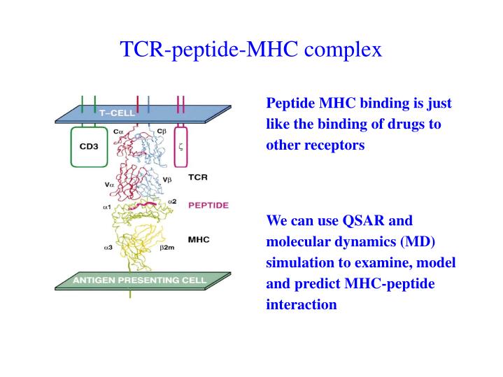 PPT - Computational Vaccinology PowerPoint Presentation - ID:5184614