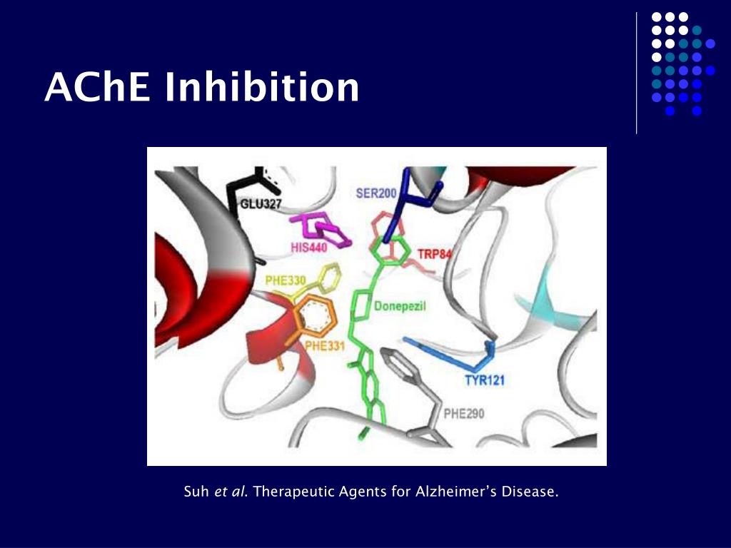 PPT - Treating Alzheimer’s Disease by Acetylcholinesterase Inhibition ...