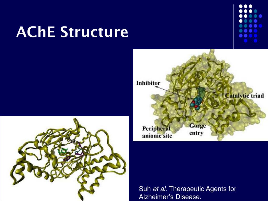 PPT - Treating Alzheimer’s Disease by Acetylcholinesterase Inhibition ...