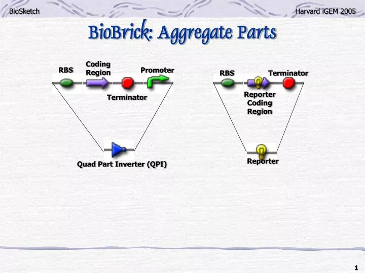 PPT - BioBrick: Aggregate Parts PowerPoint Presentation, free download ...