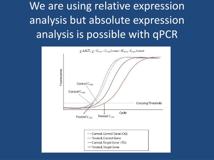 PPT - An introduction to qPCR PowerPoint Presentation - ID:5186384
