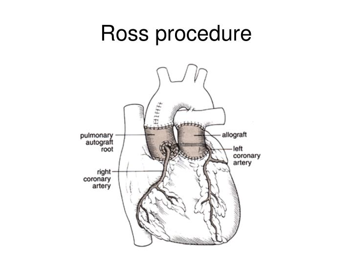 PPT - Dr. Yasser Salem PowerPoint Presentation - ID:5186482