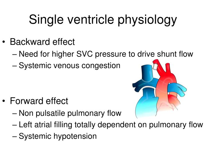 PPT - Dr. Yasser Salem PowerPoint Presentation - ID:5186482