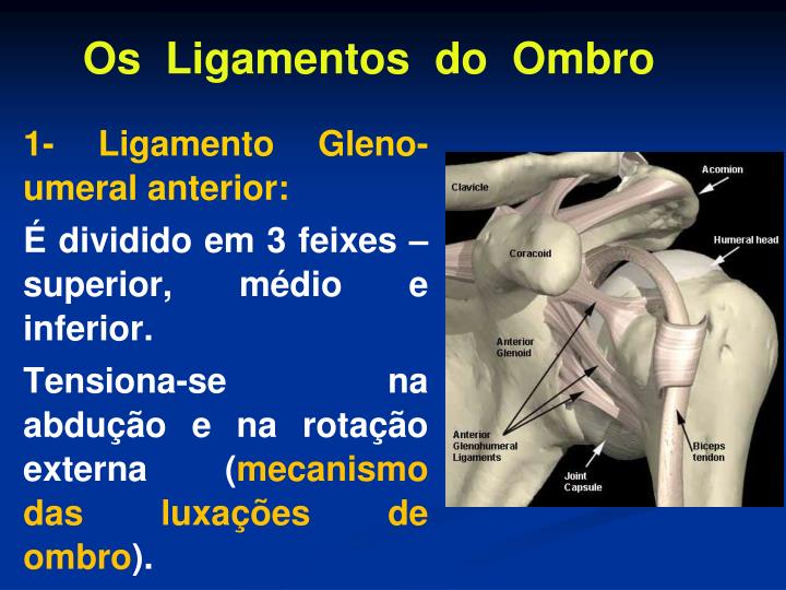PPT - Biomecânica e Cinesiologia do Ombro PowerPoint Presentation - ID ...