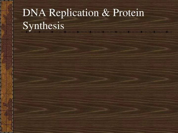 PPT - DNA Replication & Protein Synthesis PowerPoint Presentation, free ... PPT - DNA Replication & Protein Synthesis PowerPoint Presentation, free ...