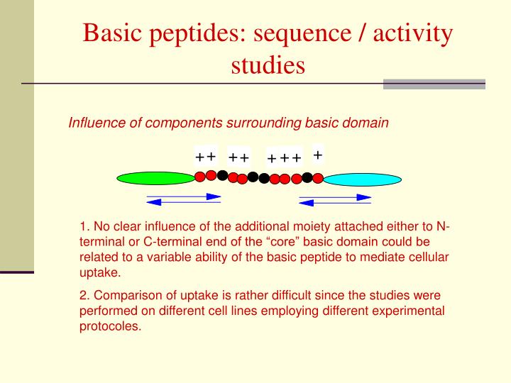 PPT - Cell Penetrating peptides PowerPoint Presentation - ID:5188963
