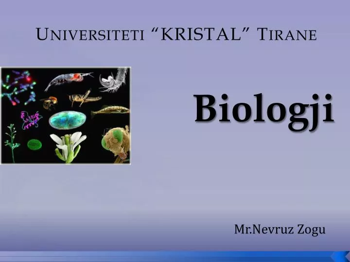 PPT - Biologji PowerPoint Presentation, free download - ID:5192879