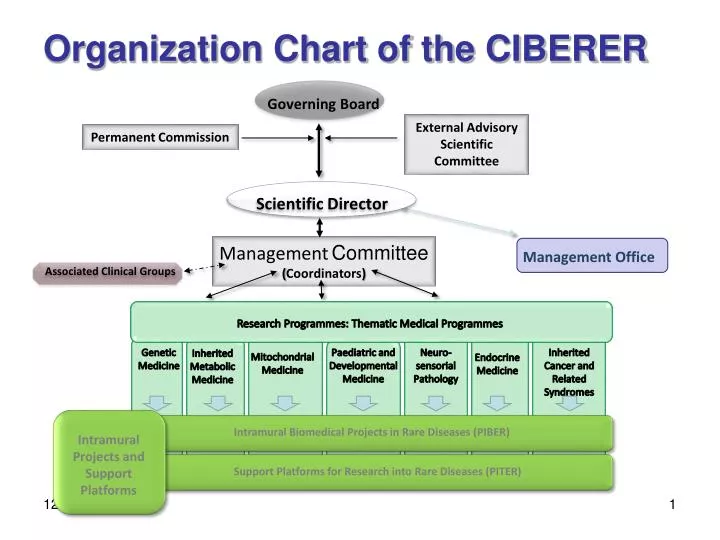 PPT - Organization Chart of the CIBERER PowerPoint Presentation, free ...