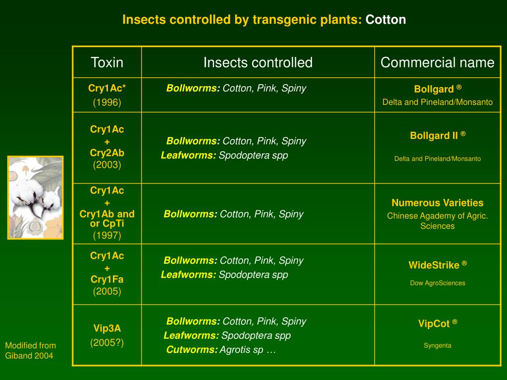 PPT - Resistance: Cotton bollworms and Bt toxins PowerPoint ...