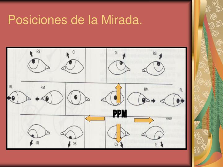 PPT - Historia Clínica y Exploración Oftalmológica PowerPoint ...