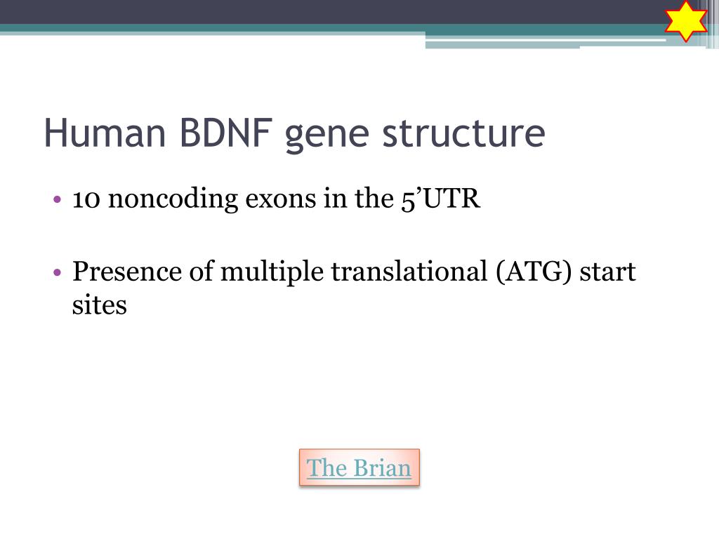 PPT - BDNF Seminar Spring 2010 Maneeshi Prasad Jan 29 th 2010 ...