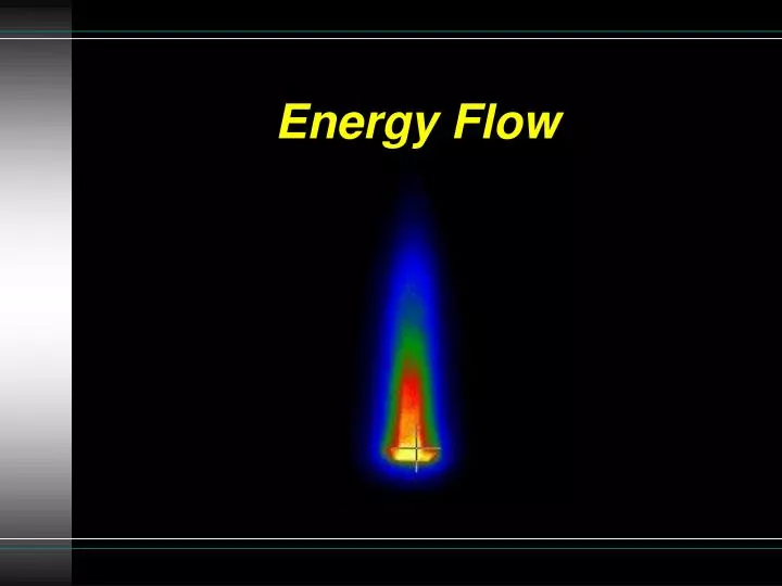 PPT - Energy Flow PowerPoint Presentation, free download - ID:5198516