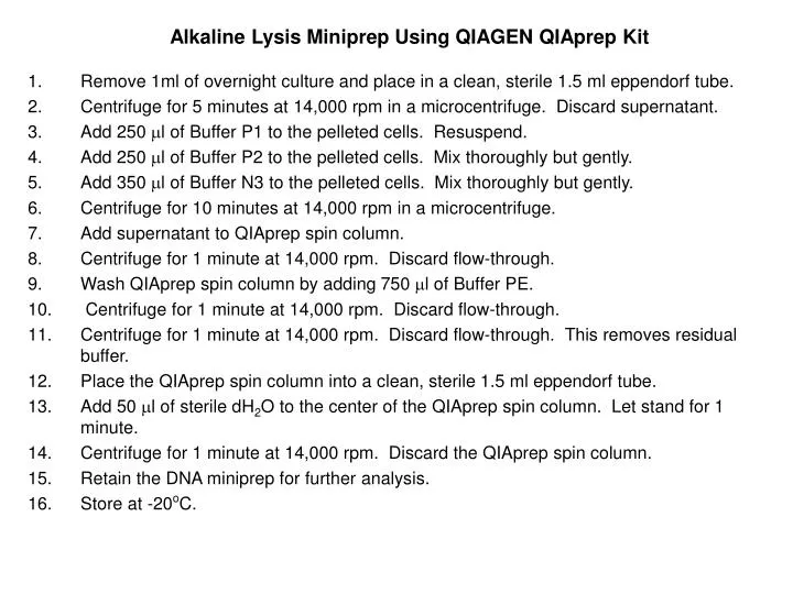 PPT - Alkaline Lysis Miniprep Using QIAGEN QIAprep Kit PowerPoint ...