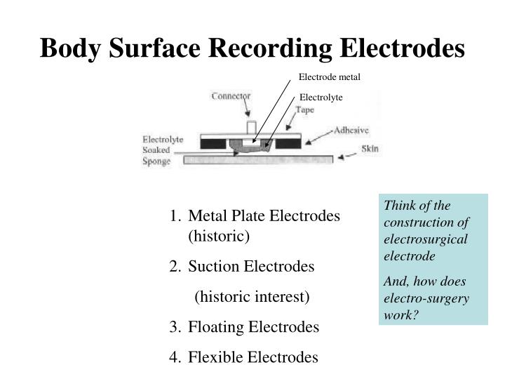 PPT - Biopotential Electrodes PowerPoint Presentation - ID:5200117