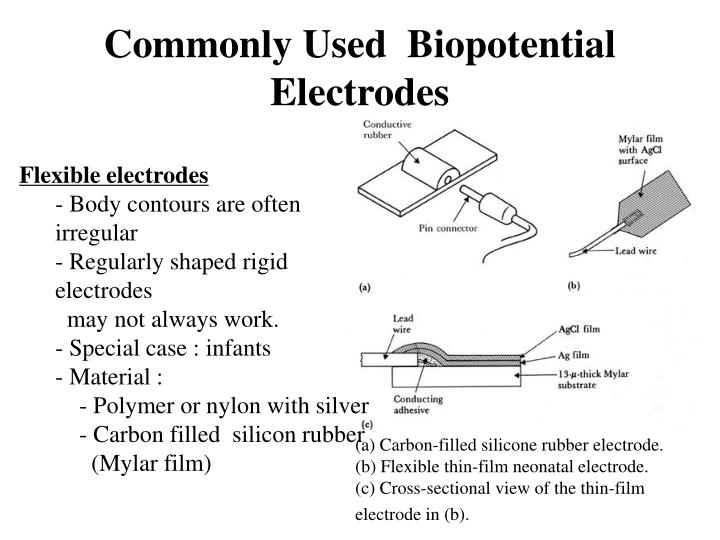 PPT - Biopotential Electrodes PowerPoint Presentation - ID:5200117