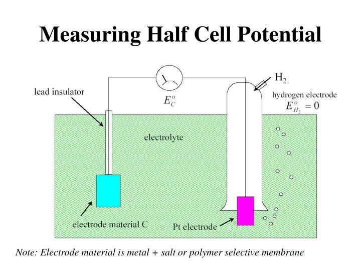 PPT - Biopotential Electrodes PowerPoint Presentation - ID:5200117