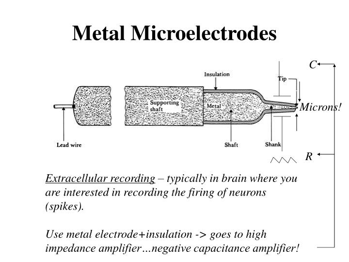 PPT - Biopotential Electrodes PowerPoint Presentation - ID:5200117