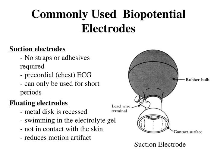 PPT - Biopotential Electrodes PowerPoint Presentation - ID:5200117