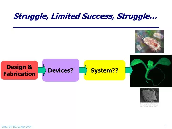 PPT - Struggle, Limited Success, Struggle… PowerPoint Presentation ...
