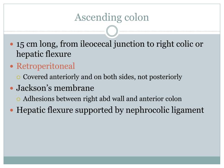 PPT - Colon Anatomy and Physiology PowerPoint Presentation - ID:5203437