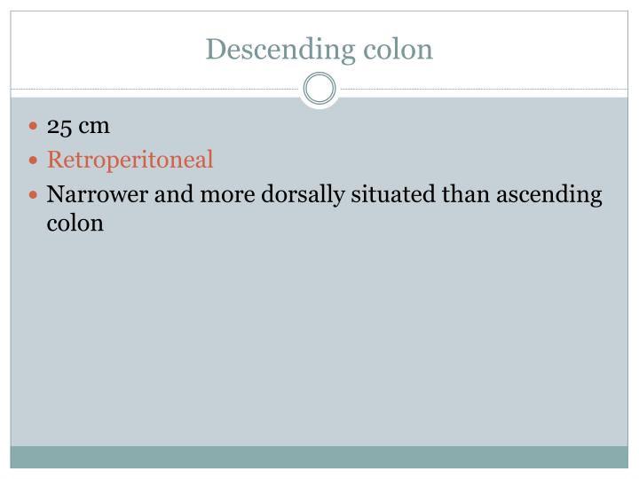 PPT - Colon Anatomy and Physiology PowerPoint Presentation - ID:5203437