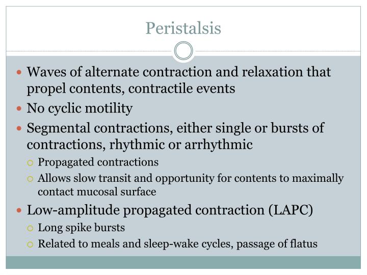 PPT - Colon Anatomy and Physiology PowerPoint Presentation - ID:5203437