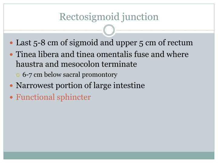PPT - Colon Anatomy and Physiology PowerPoint Presentation - ID:5203437