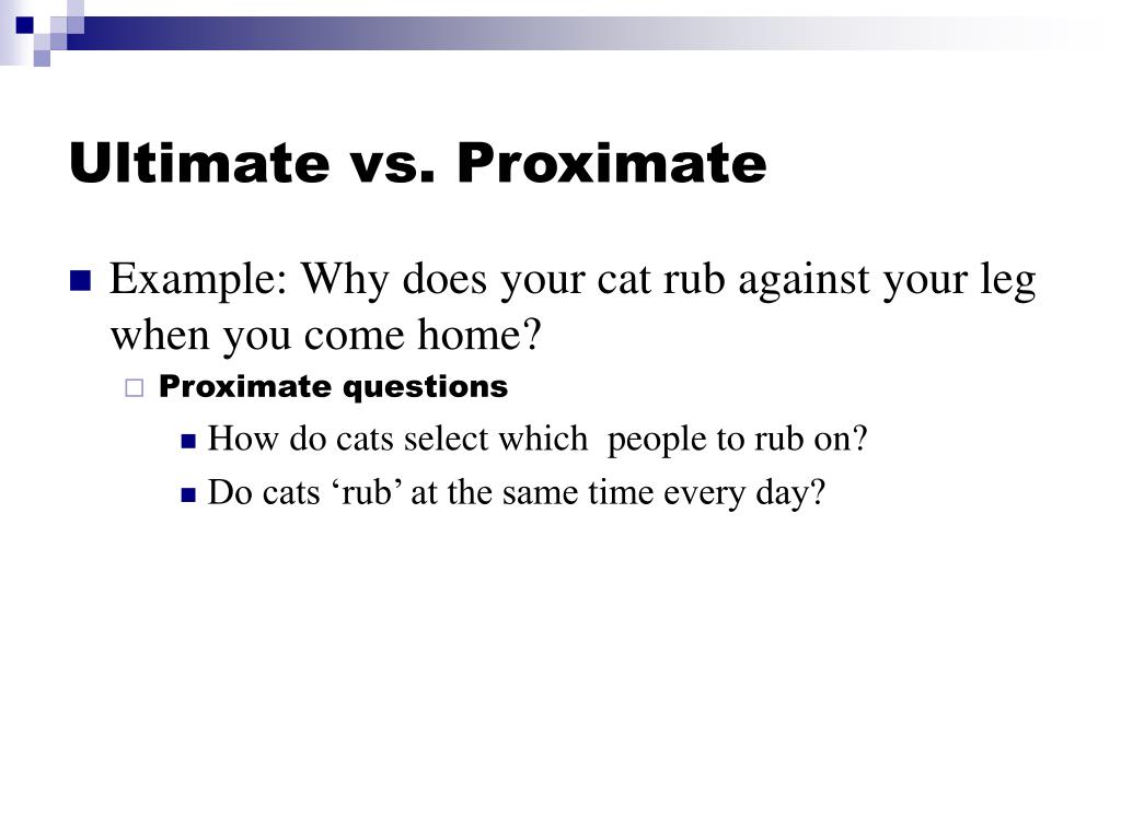 PPT - Biology 441: 9/13/07 PowerPoint Presentation, free download - ID ...