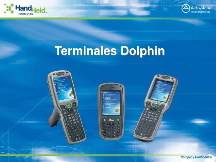 PPT - Terminales Dolphin PowerPoint Presentation, free download - ID ...
