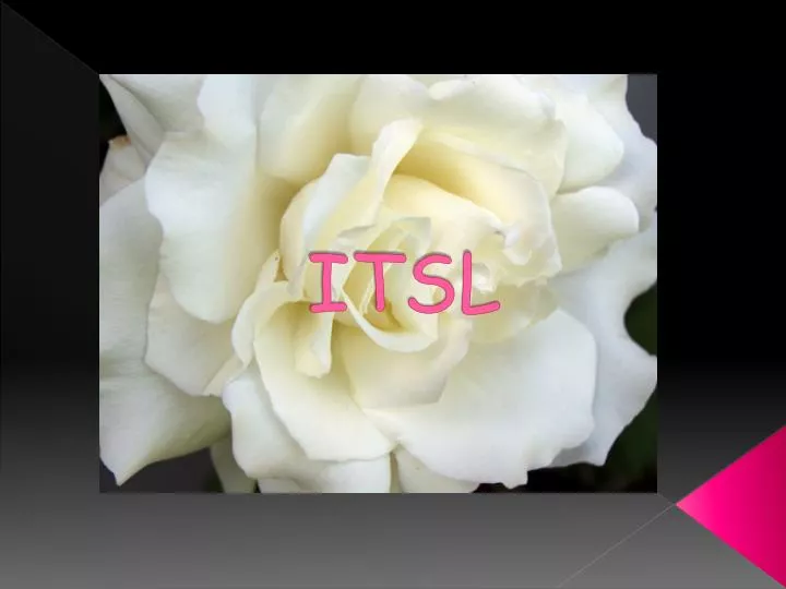 PPT - ITSL PowerPoint Presentation, free download - ID:5204109