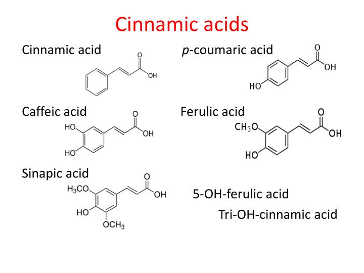 PPT - Shikimic Acid Pathway PowerPoint Presentation - ID:5204470