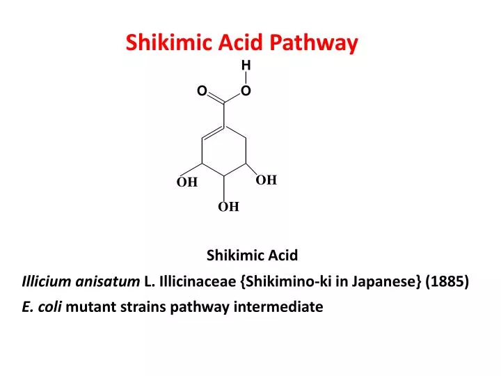 PPT - Shikimic Acid Pathway PowerPoint Presentation, free download - ID ...