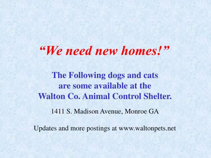 PPT - “We need new homes!” PowerPoint Presentation, free download - ID ...