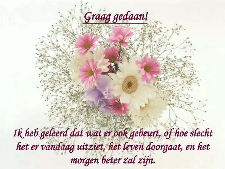 PPT - Graag gedaan! PowerPoint Presentation, free download - ID:5215064