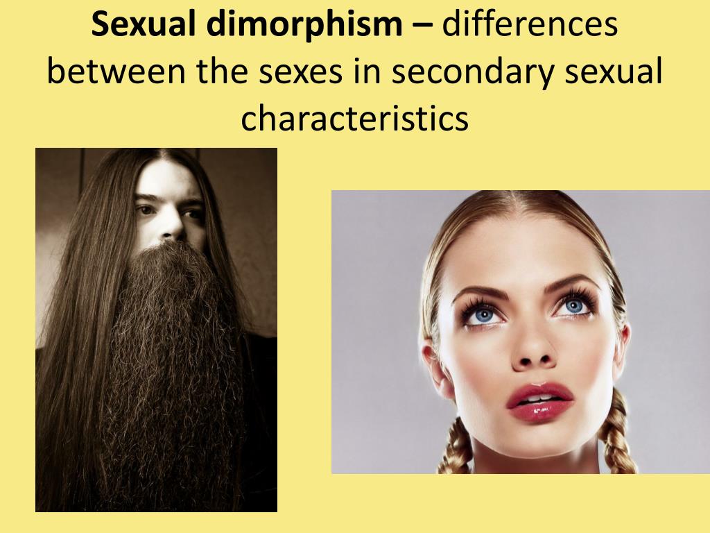 Ppt Chapter 23 The Evolution Of Populations Powerpoint Presentation
