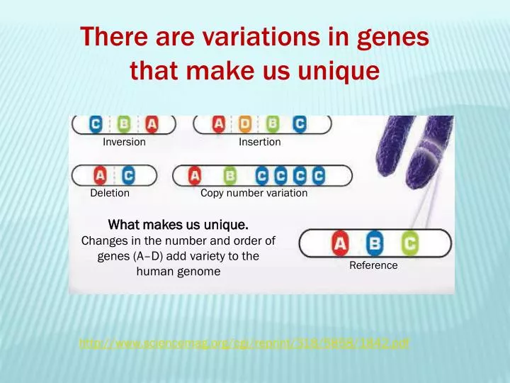 PPT - What makes us unique. PowerPoint Presentation, free download - ID ...