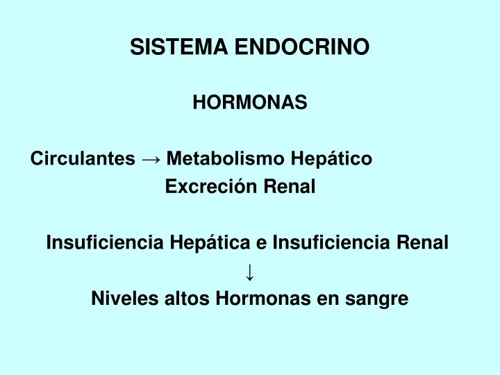 PPT - GLÁNDULAS ENDOCRINAS PowerPoint Presentation - ID:5219974