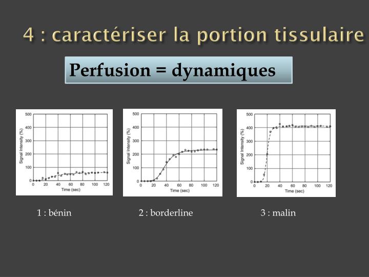 PPT - IRM PELVIENNE Pour les nuls PowerPoint Presentation - ID:5221314