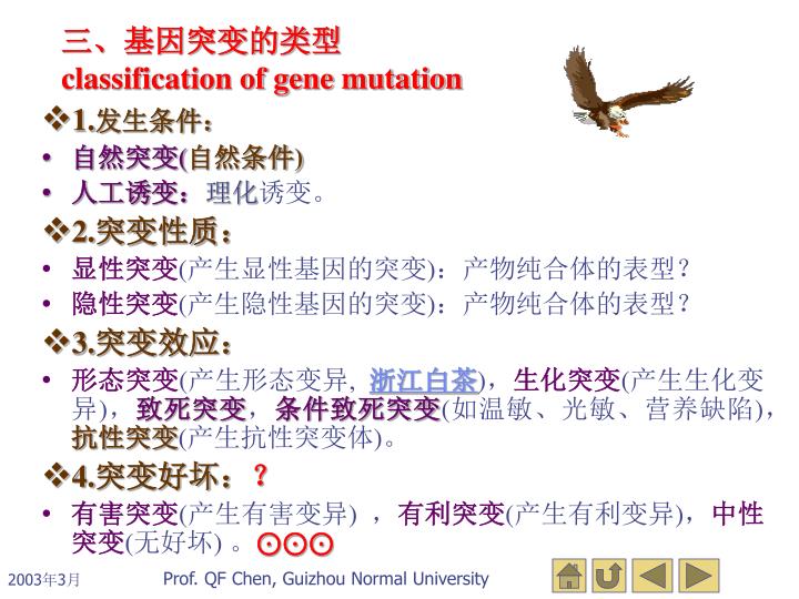 PPT - 第十章 基因突变 ( Gene Mutation) PowerPoint Presentation - ID:5229020