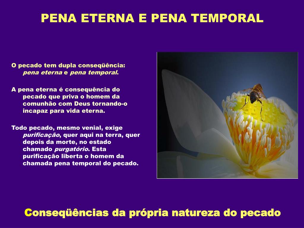 PPT - DEUS CRISTO IGREJA HOMEM INDULGÊNCIA PowerPoint Presentation ...
