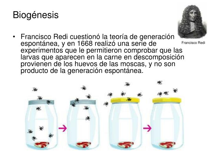 PPT - Teorías sobre el origen de la Vida en la Tierra PowerPoint ...