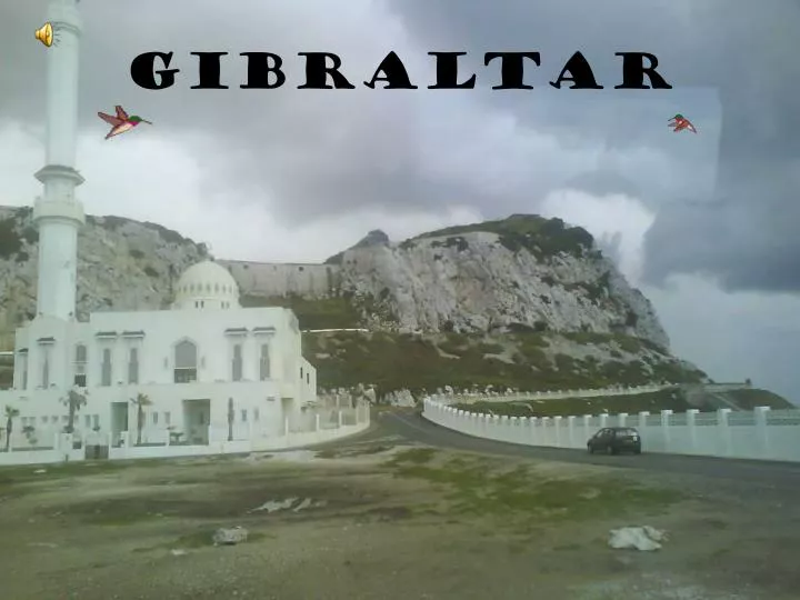 PPT - Gibraltar PowerPoint Presentation, free download - ID:5230291