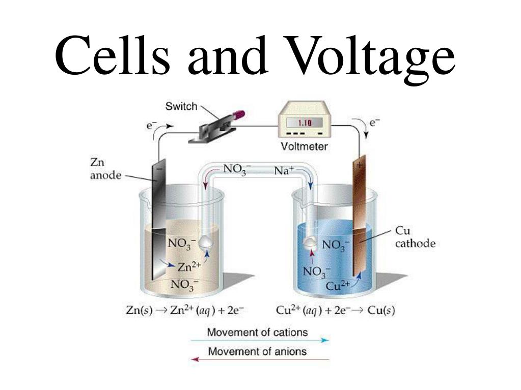 What Is A Cell Voltage at Amy Kent blog What Is A Cell Voltage at Amy Kent blog