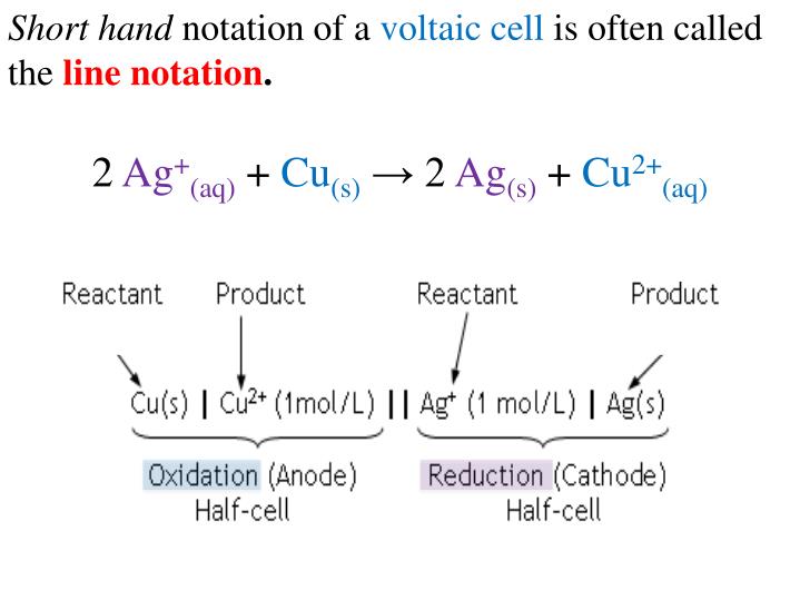 PPT - Cells and Voltage PowerPoint Presentation - ID:5231819