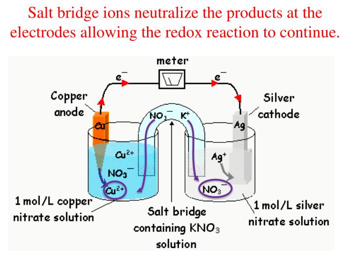 PPT - Cells and Voltage PowerPoint Presentation - ID:5231819