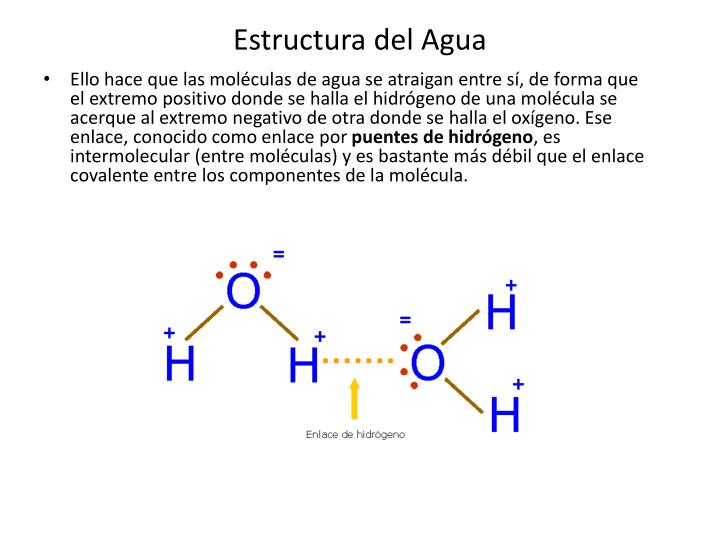 PPT - Estructura del Agua PowerPoint Presentation - ID:5232131